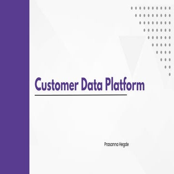 Customer Data Platform | PDF