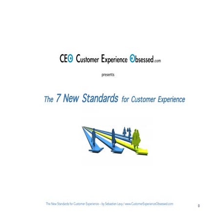 Customer Experience 7 New Standards | PDF