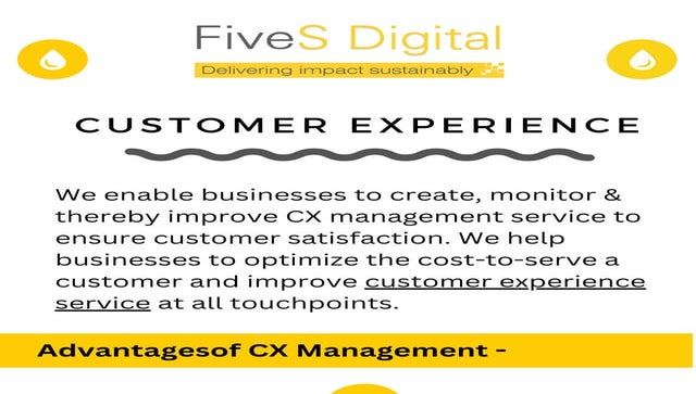 FiveS Digital -Services & Solutions | PDF