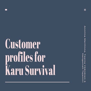 Tourism Customer Persona Example | PDF