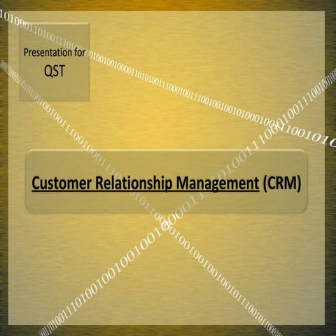 Customer Relationship Management Plan: A Roadmap to Stronger Connections | PDF