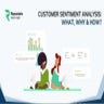 Customer Sentiment Analysis | PPTX