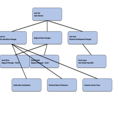 Customized_Sales_Org_Chart_With_Lines.pptx