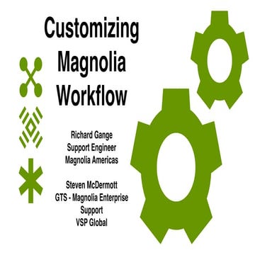 Customizing Magnolia Workflow | PDF