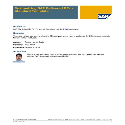 Customizing sap template bex | PDF
