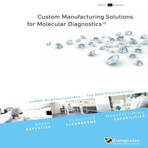 Custom manufacturing solutions | PDF