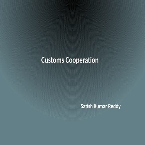 Powerpoint Presentation on Customs Cooperation.pptx