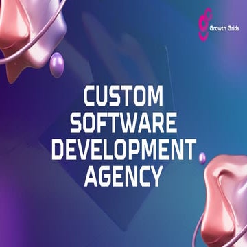 Custom Software Development Agency in Jaipur | PPTX