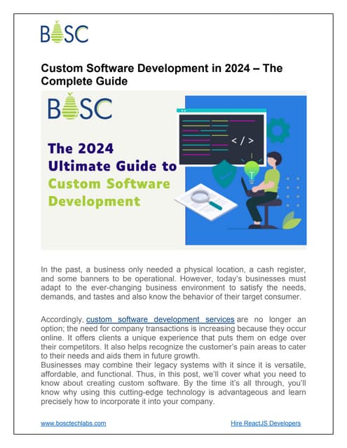 Custom Software Development Guide: Types, Costs, and Best Practices (2025) | PDF