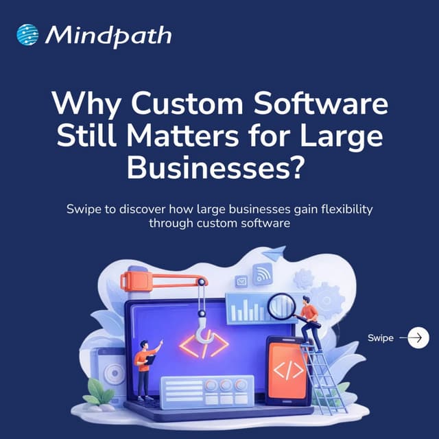 Custom Software Matters for Large Businesses.pptx