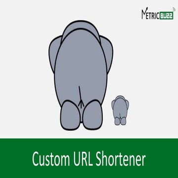 Custom URL Shortener | PPTX