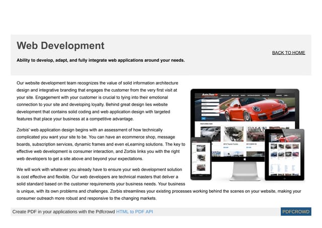 Custom Web Application Development Ppt