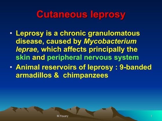Leprosy | PPT | Infectious Diseases | Diseases and Conditions