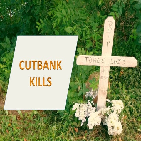 Cutbank Kills: Point Bar or Cut Bank? Depositional Processes | PPT