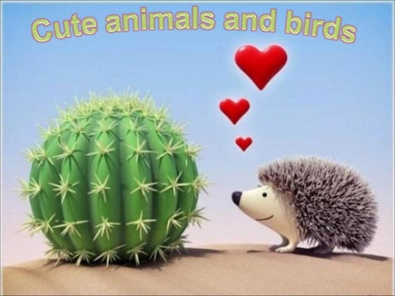 Cute Animals I | PPS