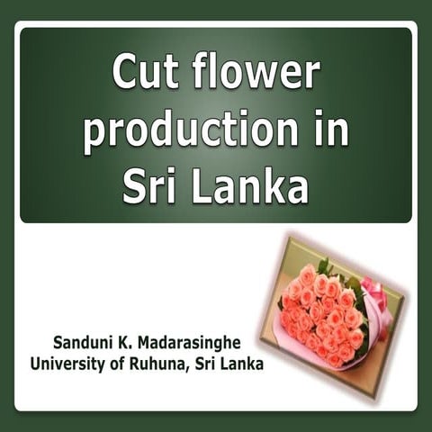 Cut flower production in sl | PPTX