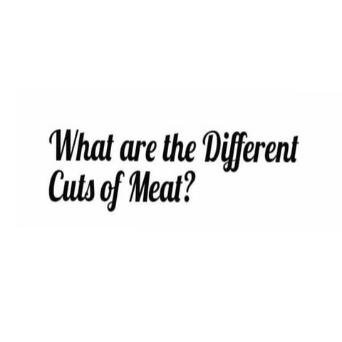 Primary and secondary cuts of meat | PPTX