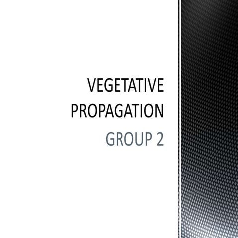 Layering propagation | PPTX
