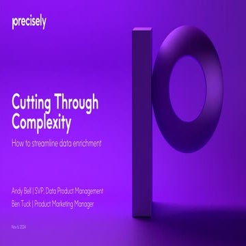 Cutting Through the Complexity: How to Streamline Data Enrichment.pdf
