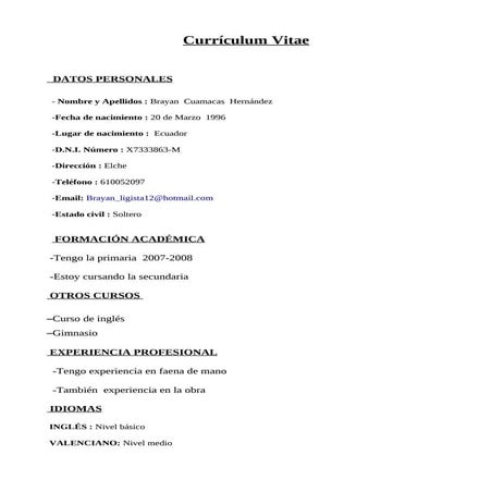 Cuuriculum brayan | PDF