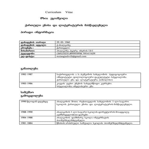 Cv | DOCX