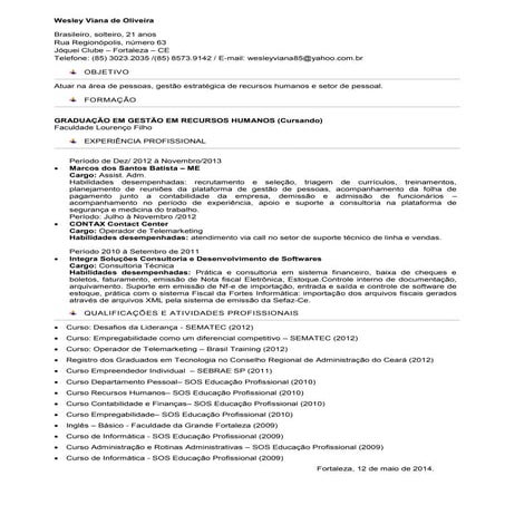 Curriculo Lattes | PDF