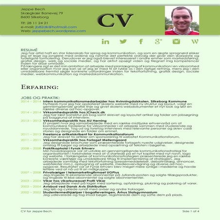 Cv | PDF