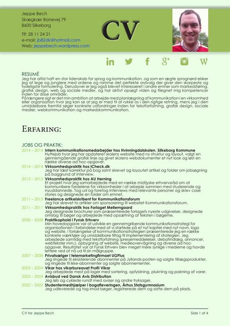 Komprimeret CV | PDF