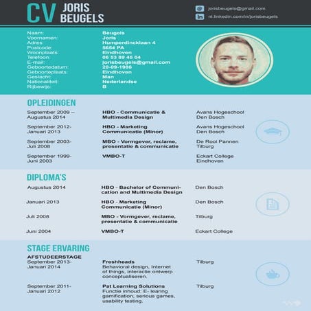 CV Joris Beugels | PDF