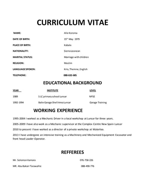 IBEZIM CURRICULUM VITAE | DOC