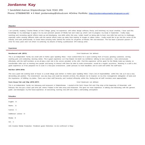 Lily Ajaib's cv.docx