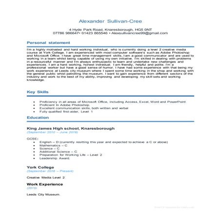 Cv template-monster-new | DOCX