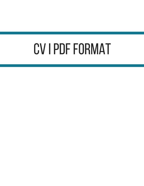 CV PDF | PDF
