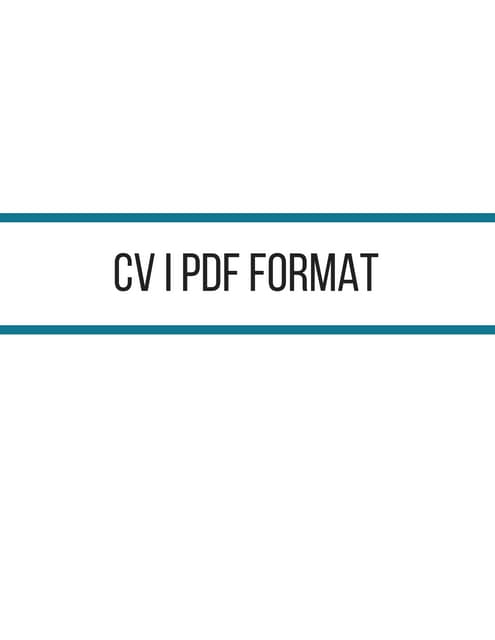CV PDF | PDF