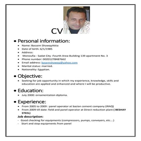 Cv | PDF