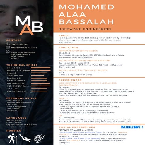 Curriculum vitae | PDF