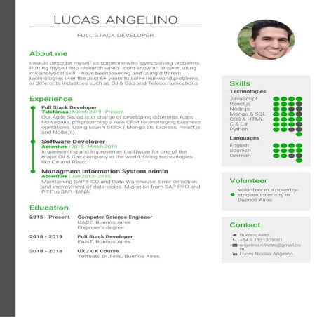 David McAlle CV | PDF