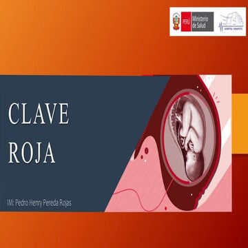 Clave Roja.pptx