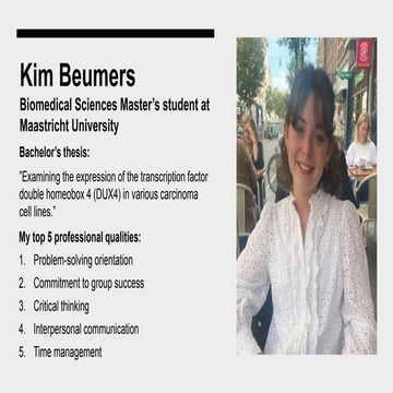 Professional background summary | PPTX