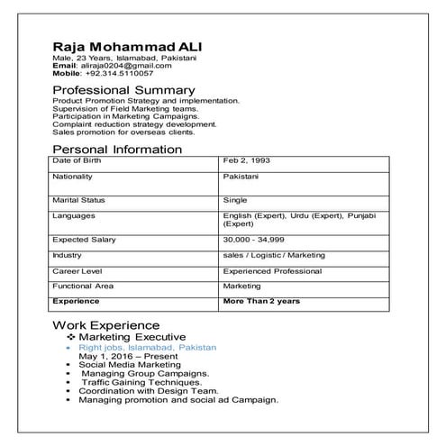 Cv -raja mohammad-ali | DOCX