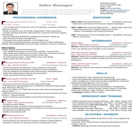 CV - Abdelhalim Kamal | PDF | Business | Business and Finance