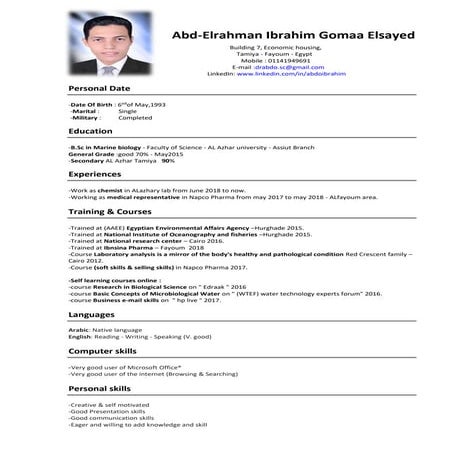 Cv abdelrahman ibrahim | PDF