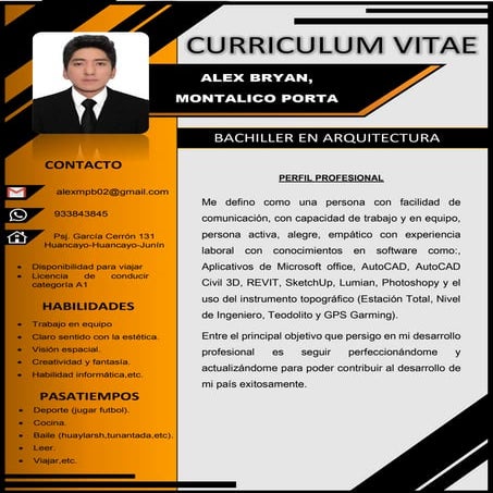 CV -ALEX.pdf