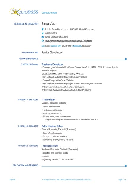 CV dana enescu eng | PDF