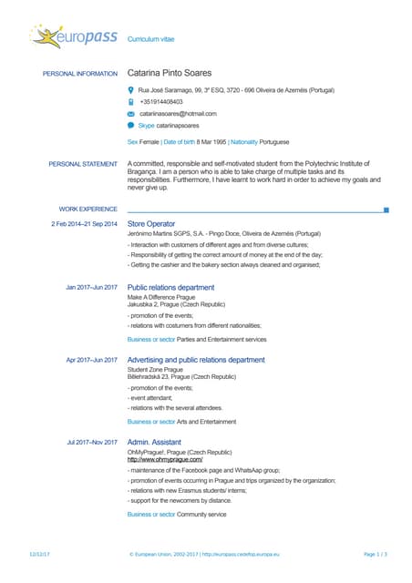 CV of Nelson in English act1 2017 | PDF