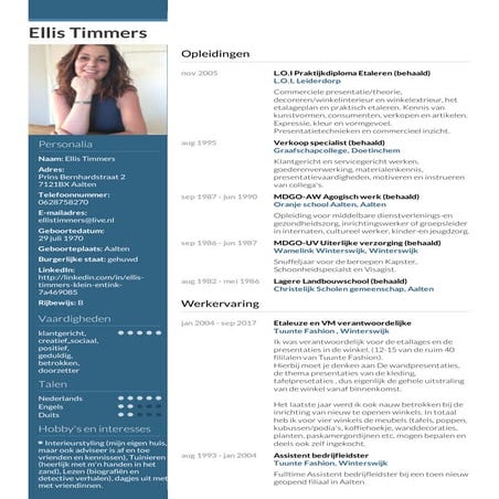 Cv ellis-timmers | PDF