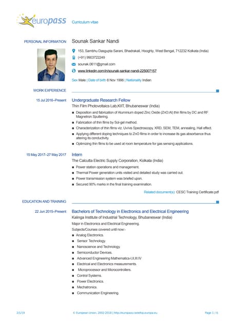 Curriculum vitae(CV) | PDF