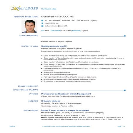 Cv europass-2019 02 26-hamidouche-en | PDF