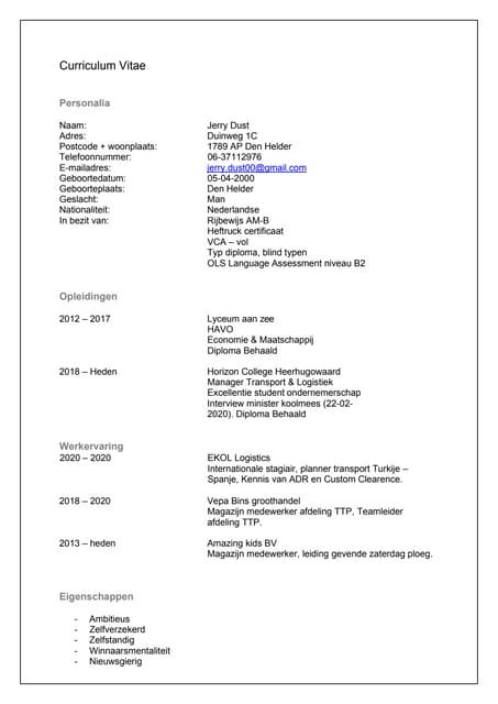Curriculum Vitae Mirjam | PDF
