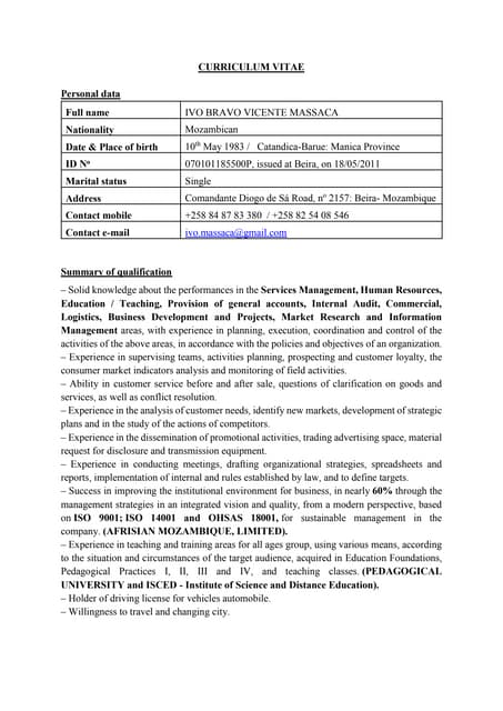 CV In English updated | PDF